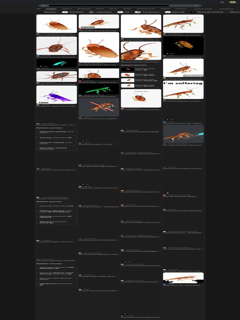 Spinning Cockroach - Google Search | PDF | Websites