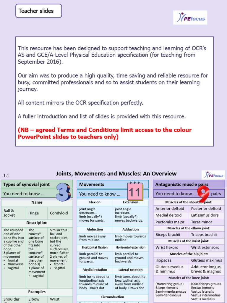 Joints, Movements, Muscles, Roles of Muscles - Teachers | PDF ...
