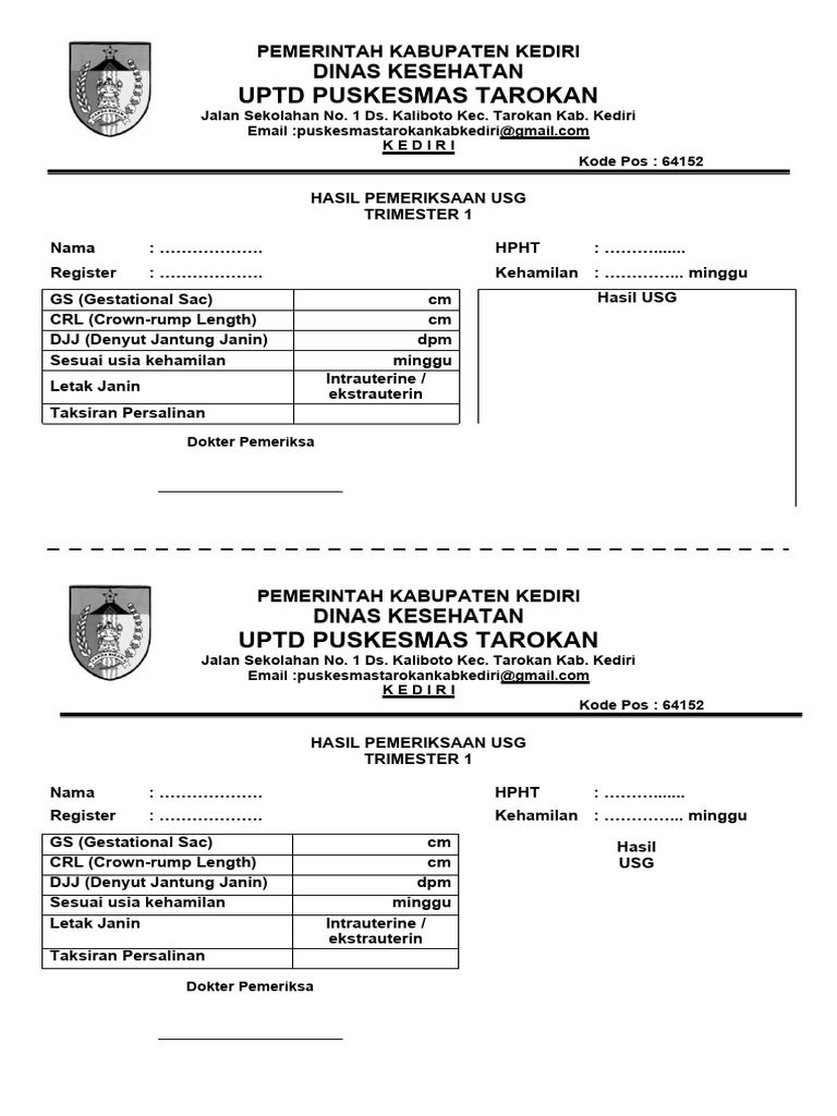 Format Surat USG Puskesmas | PDF