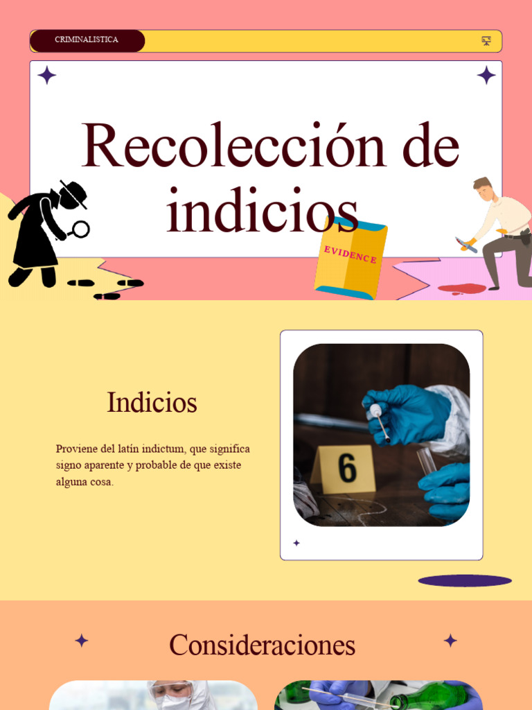 Recoleccion de Indicios | PDF | Papel