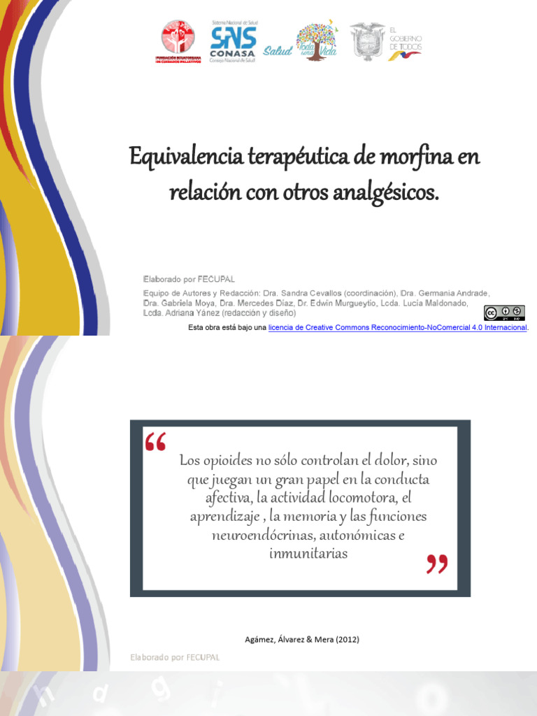 PPT4 Equivalencia-Terapéutica | PDF | Opioide | Farmacia