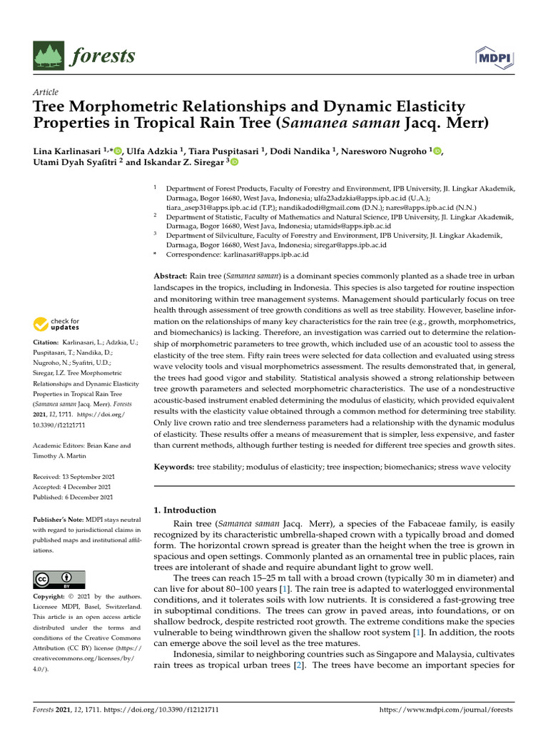 Tree Morphometric Relationships and Dynamic Elasti | PDF | Trees | Root