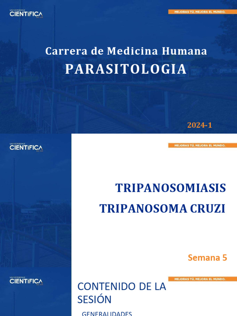 PPT_PARASITOLOGÍA_SEM-06_SESIÓN-06_2024-1 (1) | Descargar gratis PDF | Especialidades Medicas ...