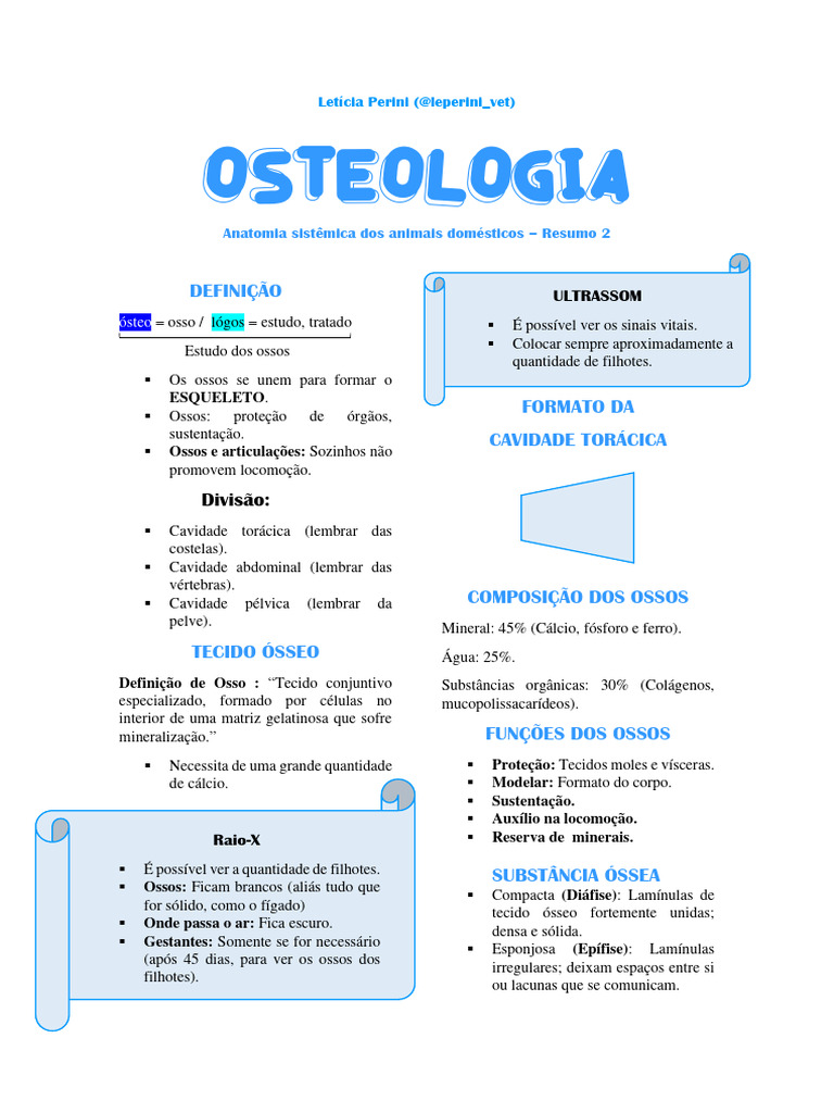 Osteologia - Resumo 2 | PDF | Osso | Esqueleto