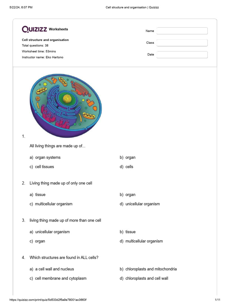 Cell Structure and Organisation - Quizizz | PDF | Cell (Biology ...