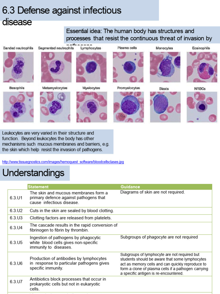 Defence Against Infectious Diesease | PDF | Phagocyte | Atherosclerosis