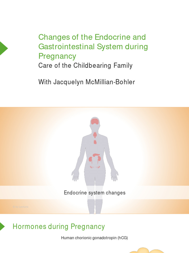 Slides Changes of The Endocrine Gastrointestinal System During ...