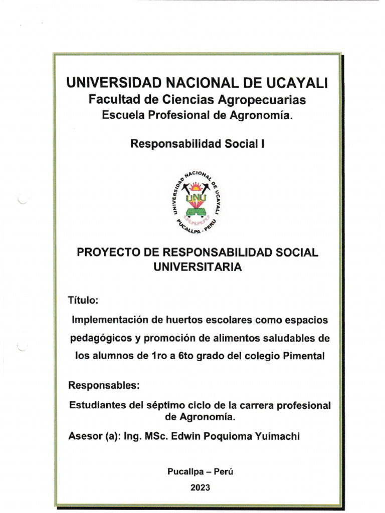 Proyecto de Responsabilidad Social | PDF