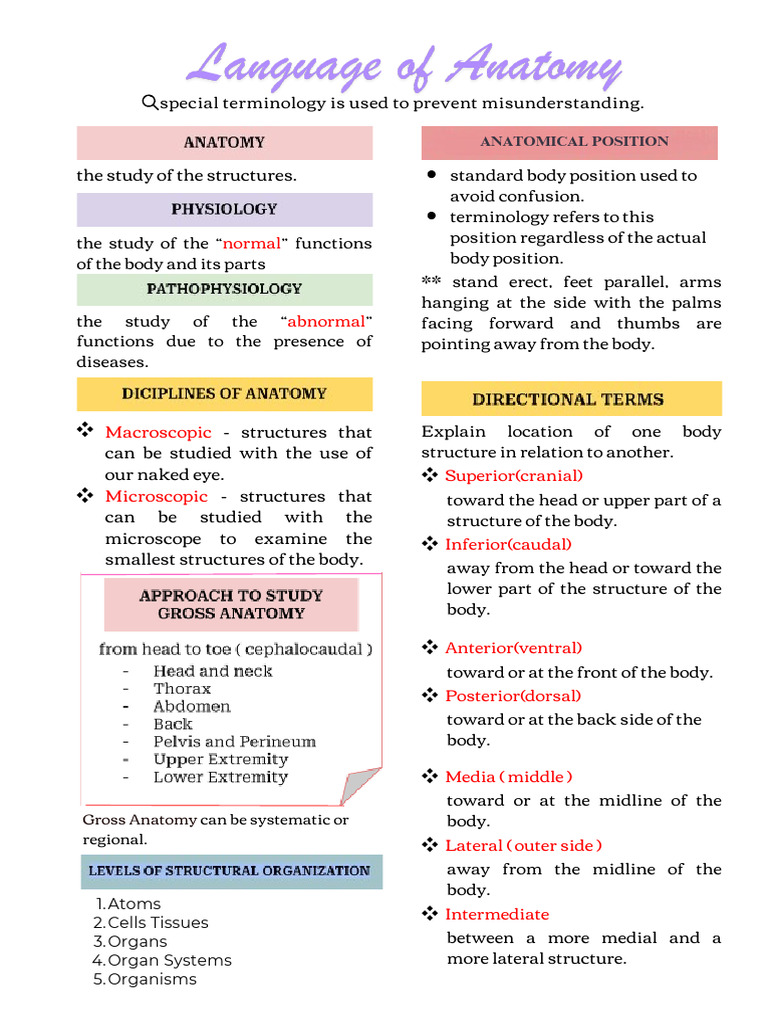 Language of Anatomy | PDF | Anatomical Terms Of Location | Human Body
