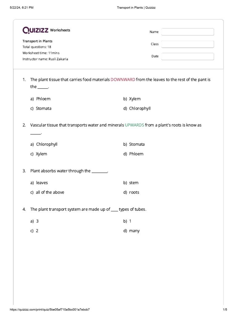 Plant Transport System Quiz | PDF | Leaf | Plant Stem
