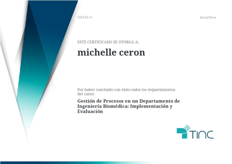 Michelle Ceron - 2024-05-15 | PDF