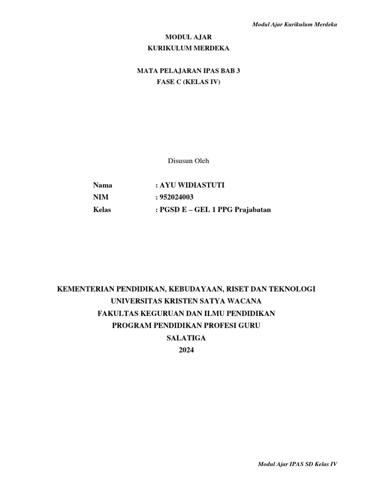 Modul Ppa Ayu Widiastuti | PDF | Karier & Perkembangan