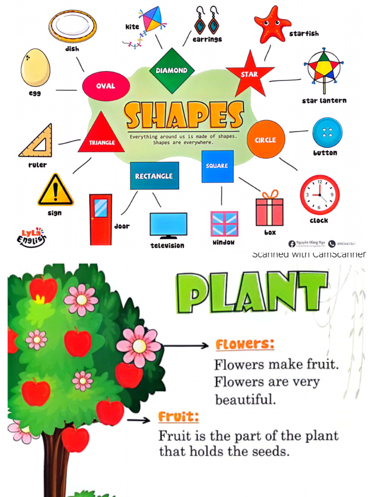 Plant | PDF