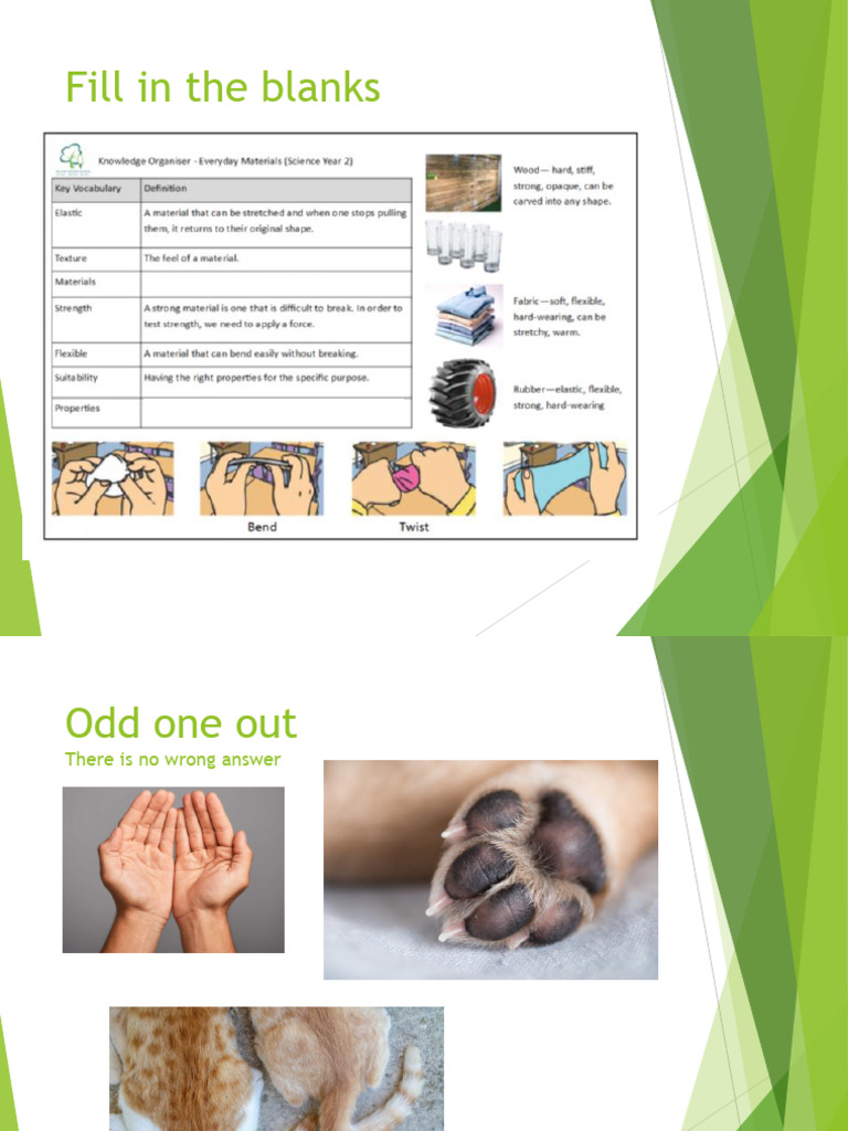 Year 2 Science Week 6 | PDF