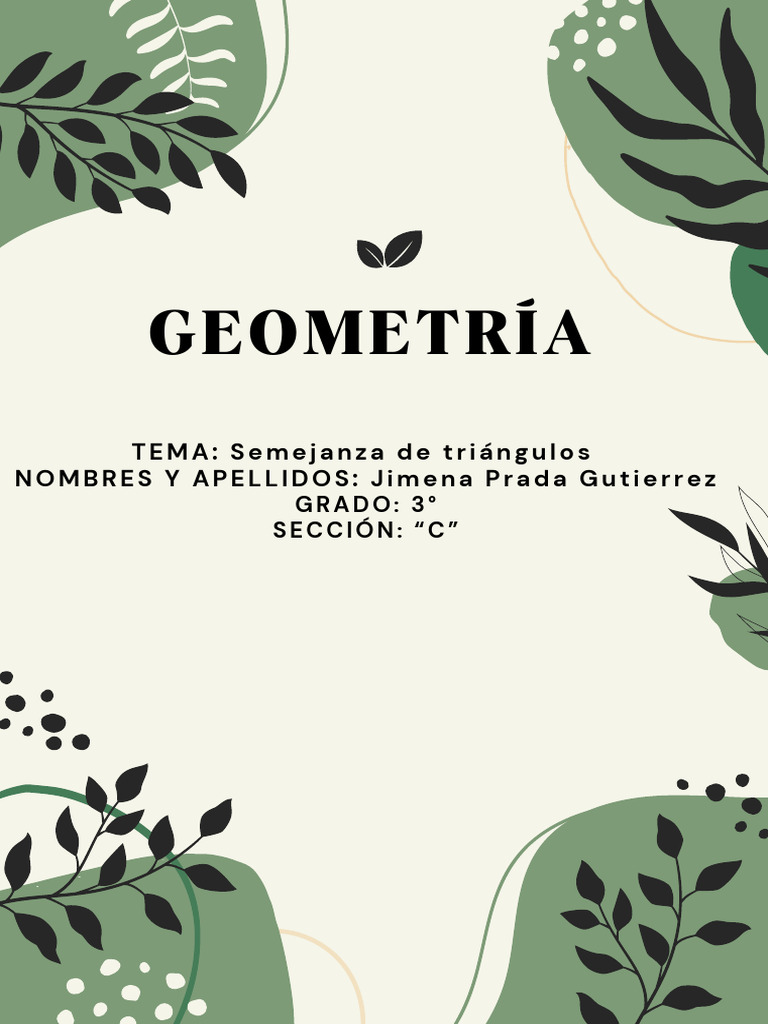 Semejanza de Triángulos en Geometría | PDF