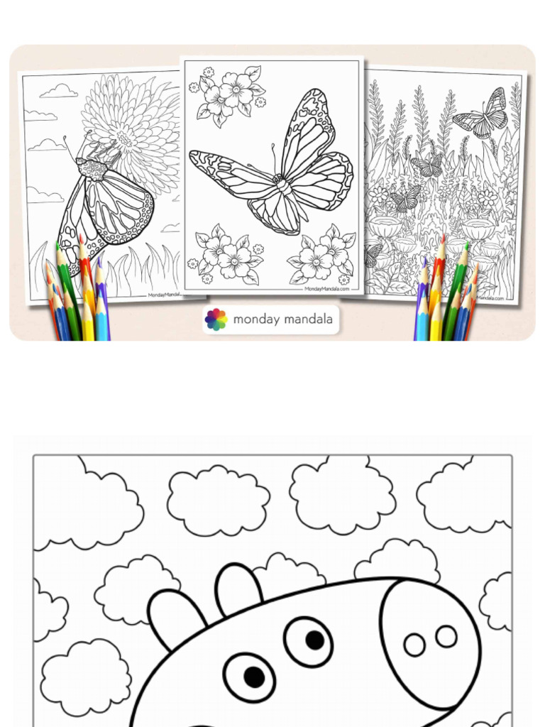 PP Color | PDF