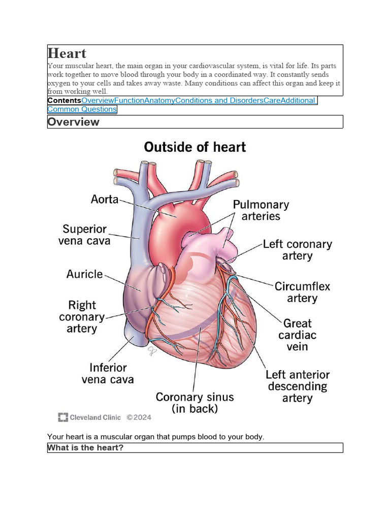 heart | PDF