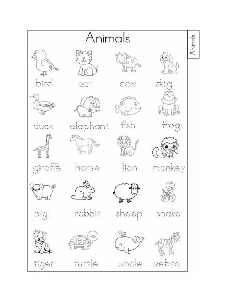 Animal Worksheet | PDF