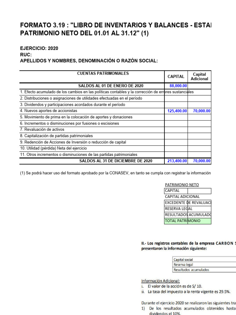 Formato Ecpn Caso Carbon Sac | PDF | Valor neto | Contabilidad