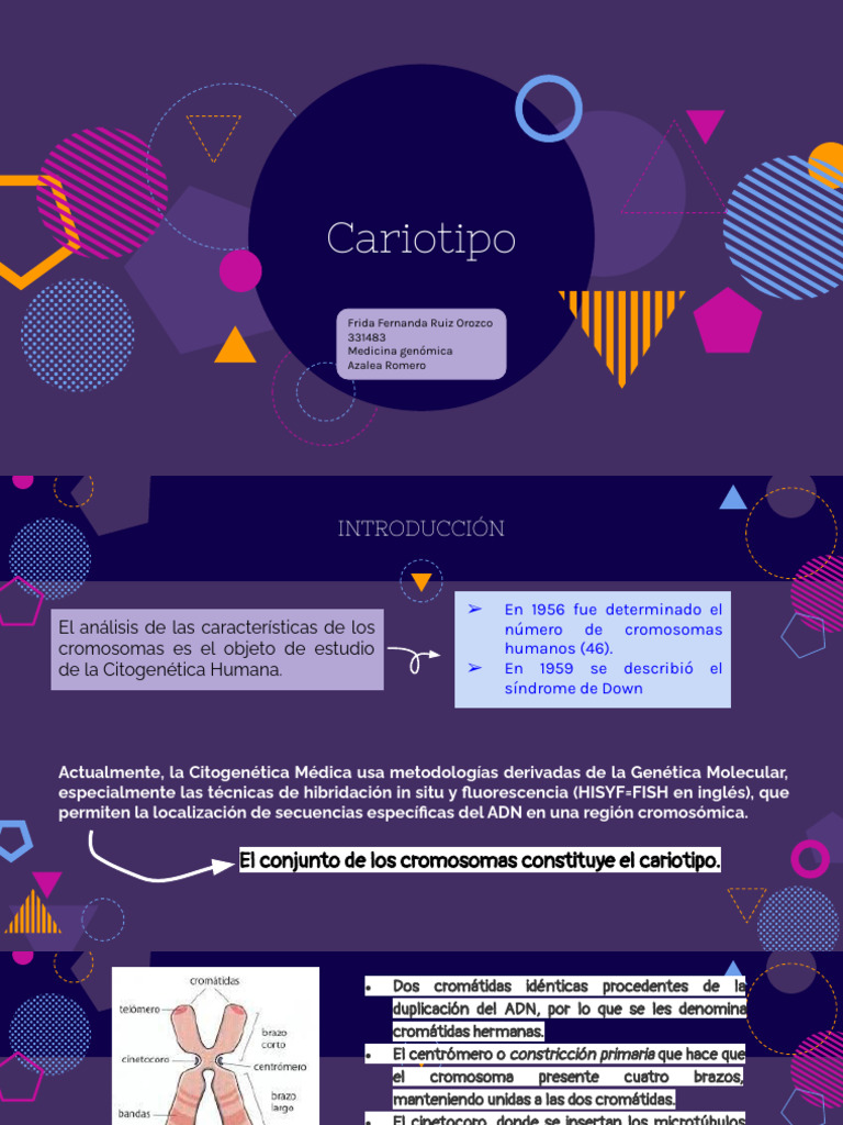 Cariotipo | PDF | Cromosoma | Citogenética