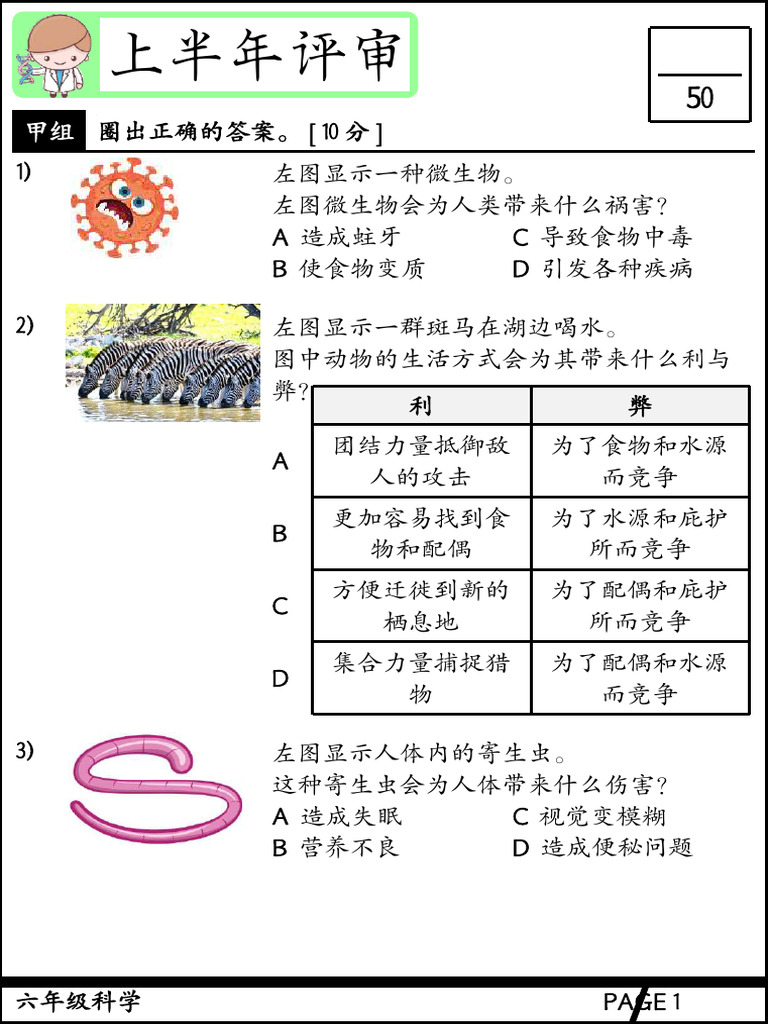 Y6 SC | PDF