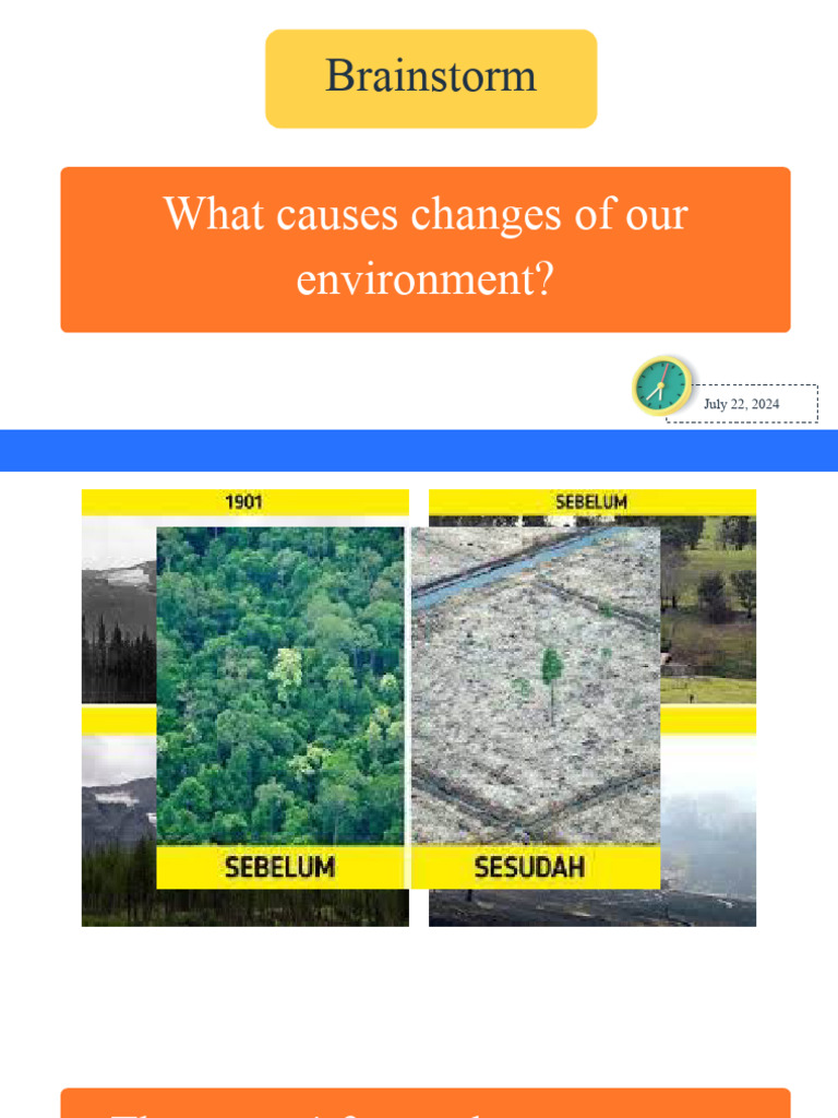 Causes of Environmental Changes | PDF