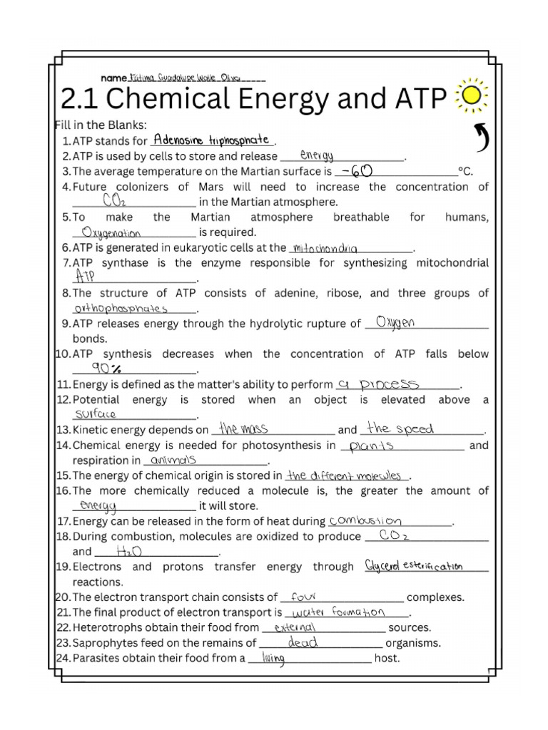 Worksheets Bio | PDF | Cellular Respiration | Fermentation