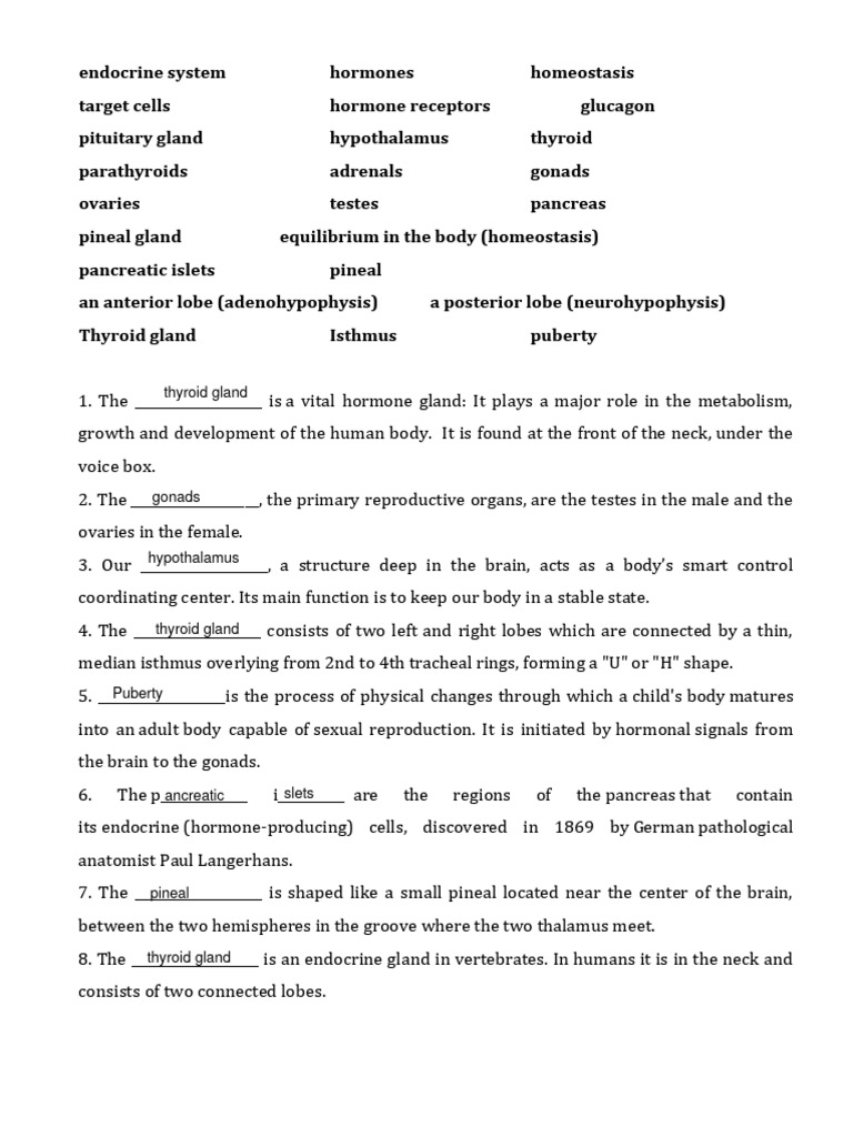 Practice 1 - Vocab | PDF | Endocrine System | Hormone