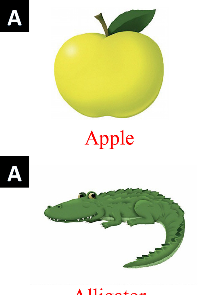 Phonics 1a Flashcards | PDF