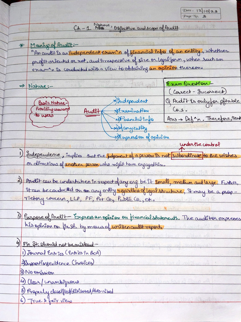 Audit Ch 1 Pdf