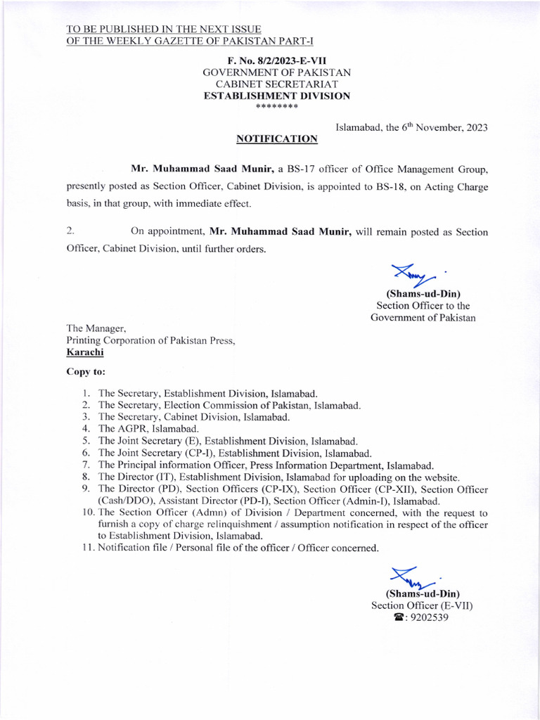 MR - Muhammad Saad Munir | PDF