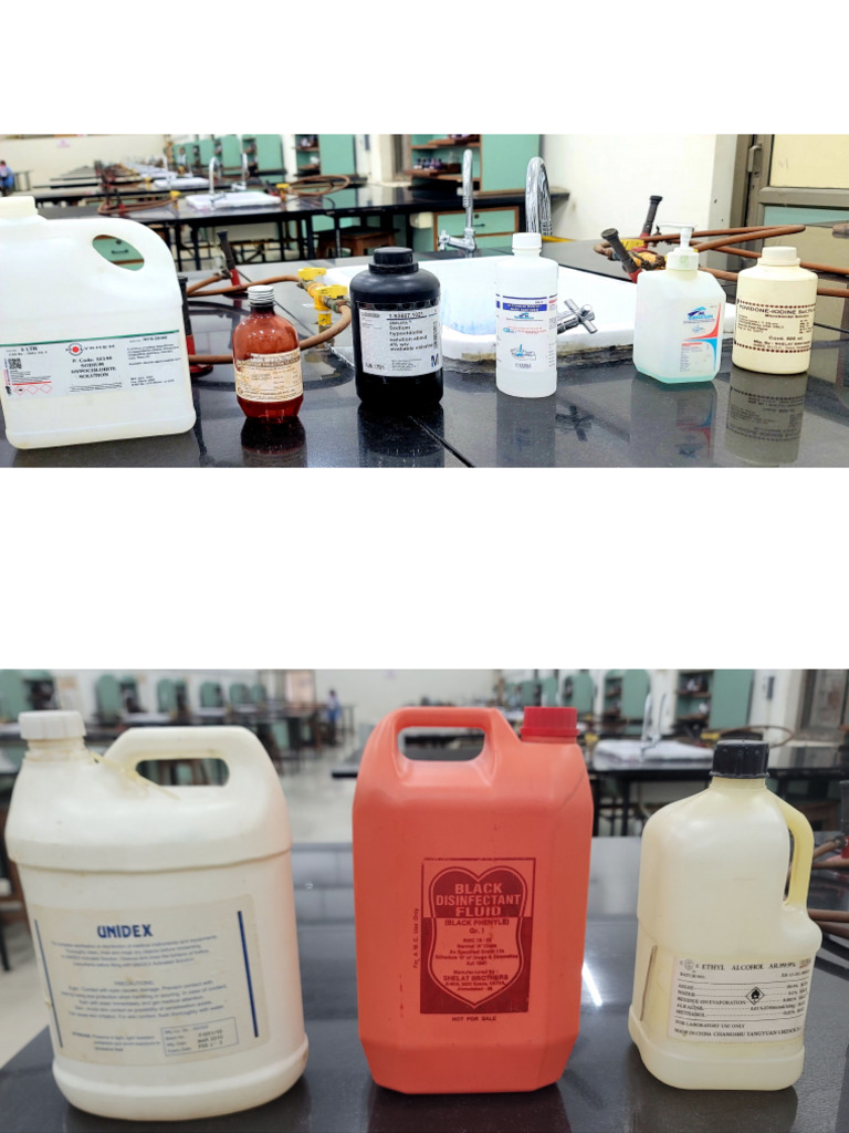 Microbiology Practical | PDF