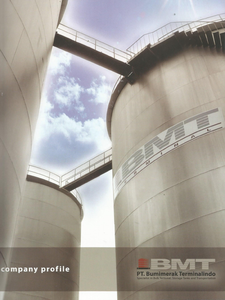 comp. profile BMT | PDF