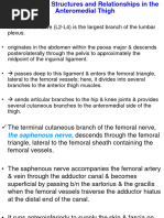 Femoral Sheath Removal Protocol Guide | PDF | Vein | Artery