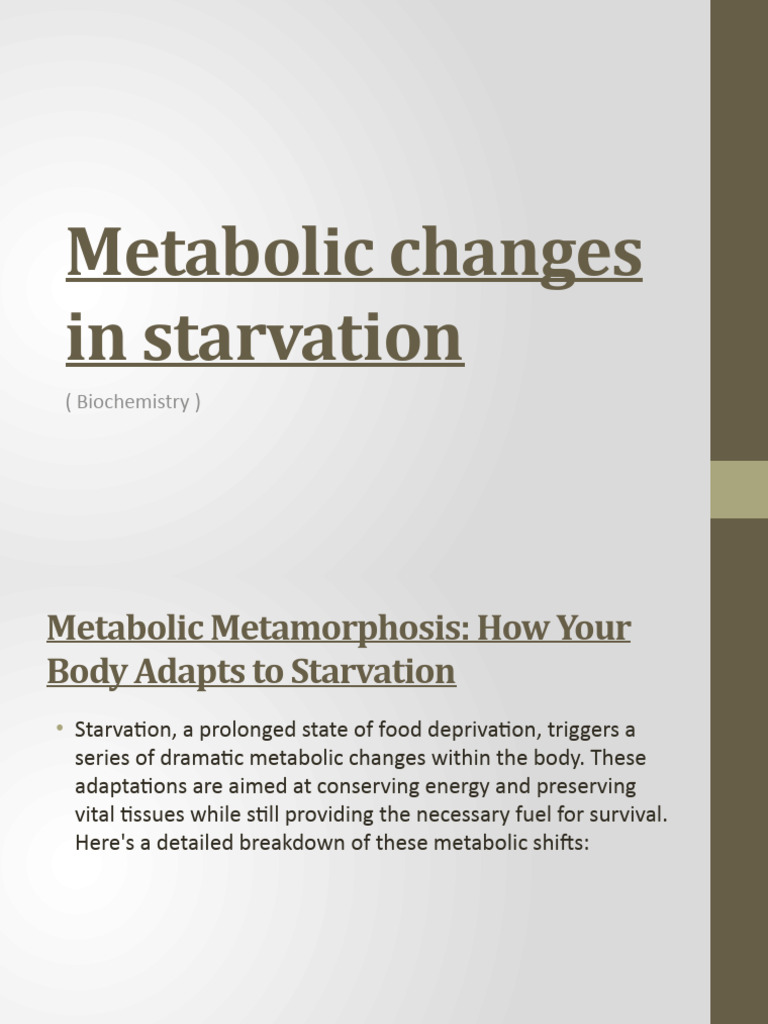 Metabolic Changes in Starvation | PDF | Physiology | Biochemistry