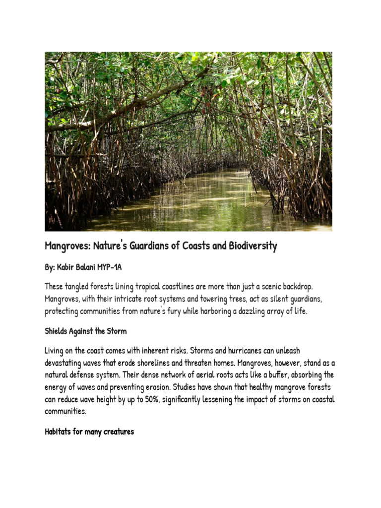 Mangroves - Nature's Guardians of Coasts and Biodiversity | PDF ...