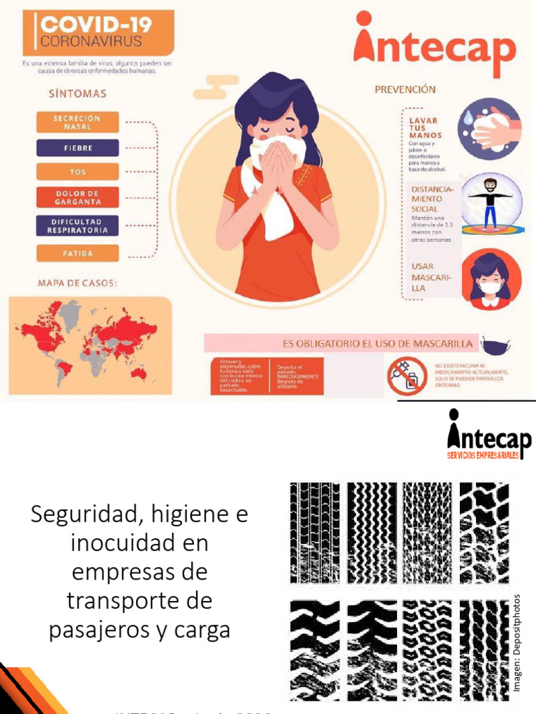 Dsa - Final Transporte | PDF | Alimentos | Patógeno Dsa - Final Transporte | PDF | Alimentos | Patógeno