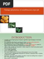 Beetroot Production Guideline 2014 | PDF | Beetroot | Sowing