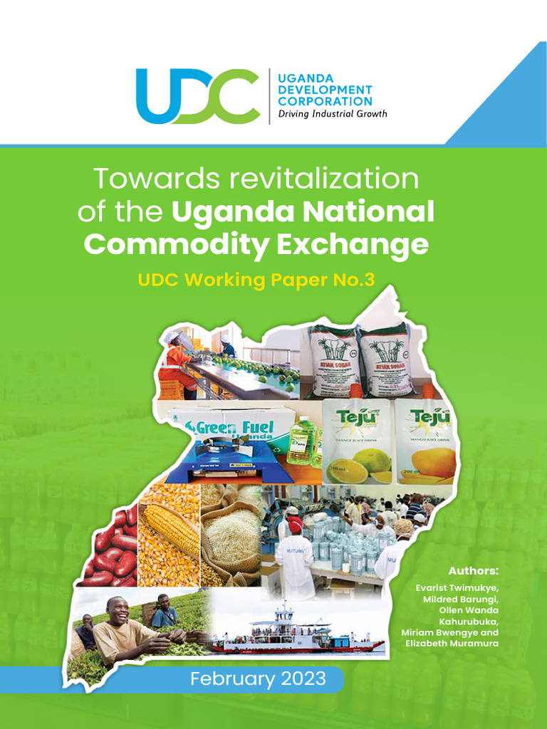 Unce Revitalisation Udc Working Paper 3 | PDF | Speculation | Market ...