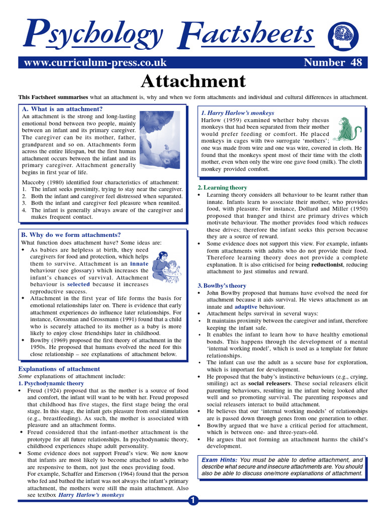 Psychology Attachments Factsheet | PDF | Attachment Theory ...