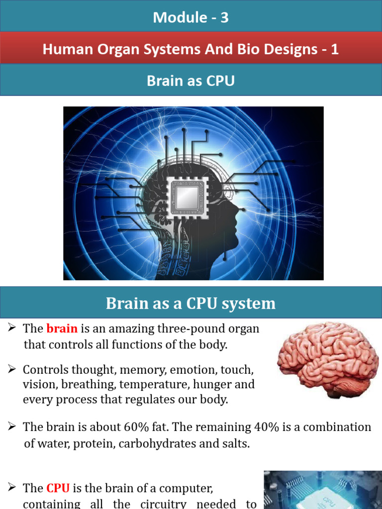 Module - 3 Brain As CPU | PDF | Nervous System | Electroencephalography