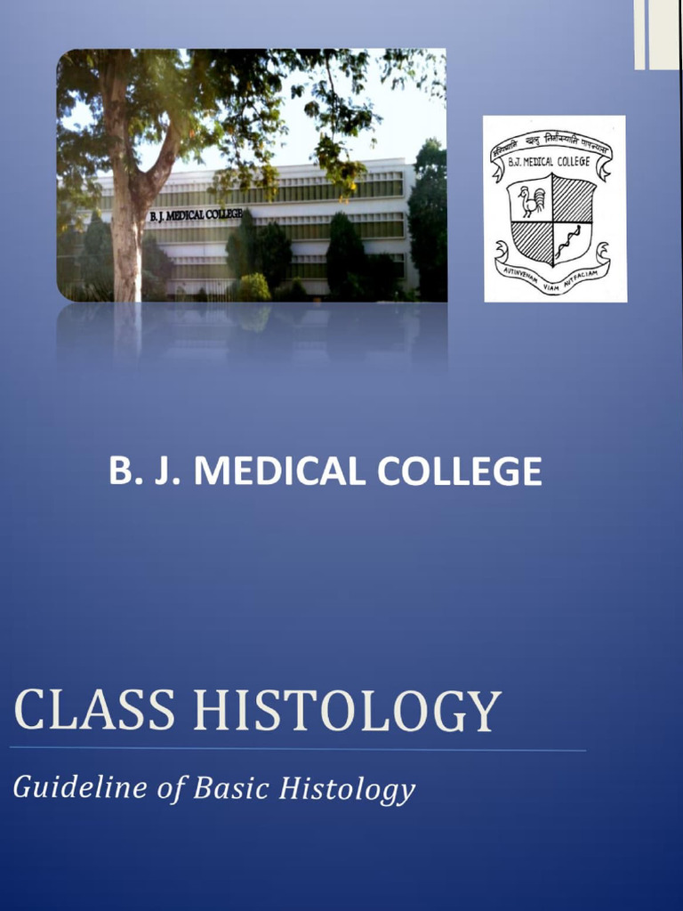 Histology Notes | PDF