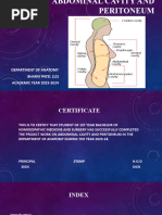 Anatomy of the Peritoneum Explained | PDF | Peritoneum | Anatomy