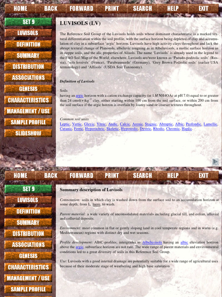 Luvisol (Soil Group Specs) | PDF | Soil | Clay