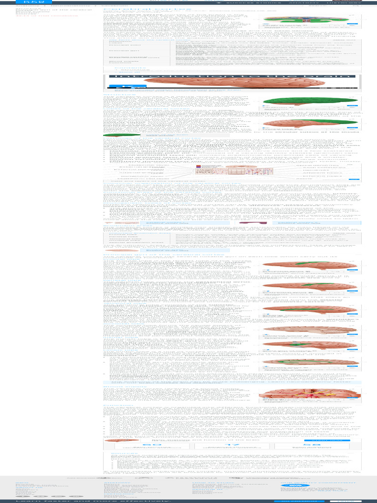 Cerebral Cortex Structure and Functions Kenhub | PDF | Cerebral Cortex | Cingulate Cortex