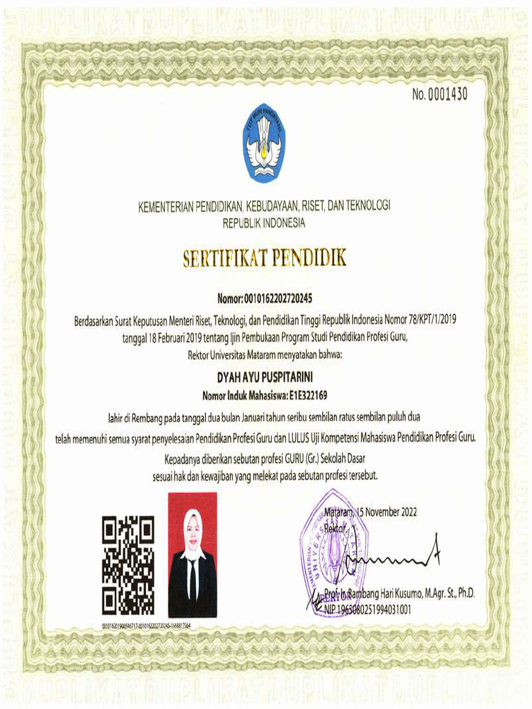 SERDIK 199201022019032004 Compressed | PDF