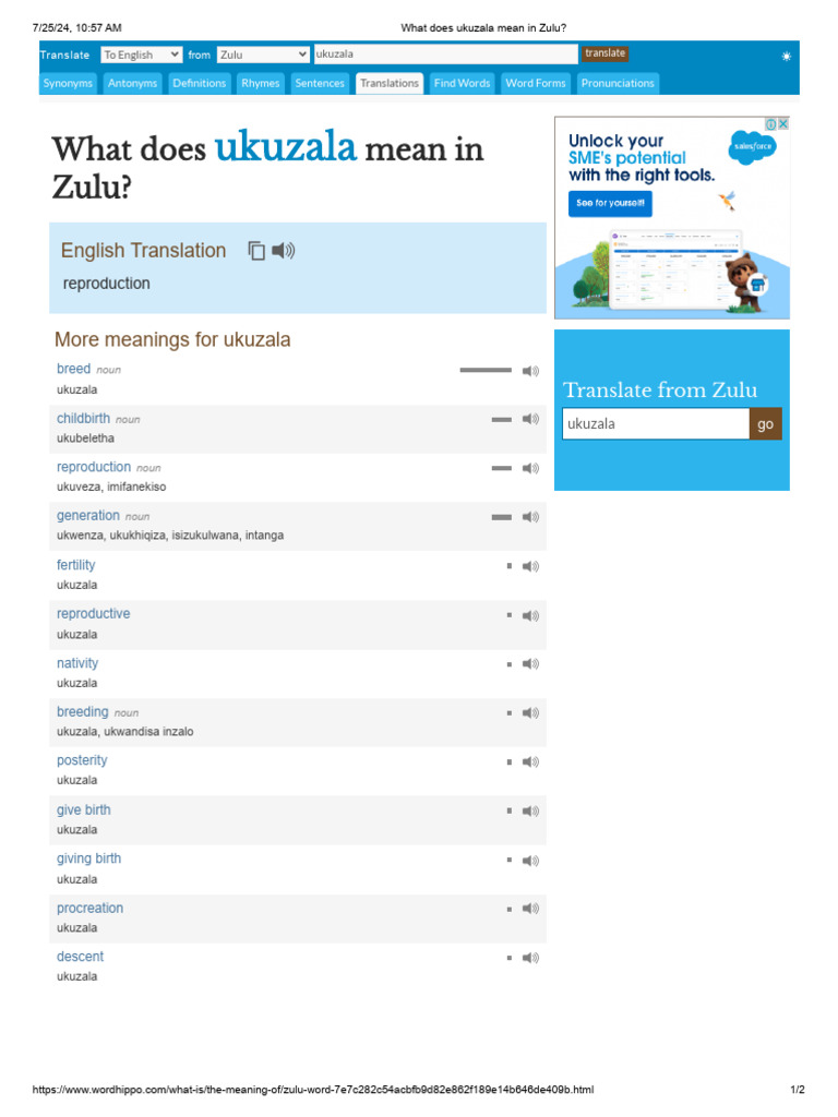 What Does Ukuzala Mean in Zulu | PDF | Noun | English Language