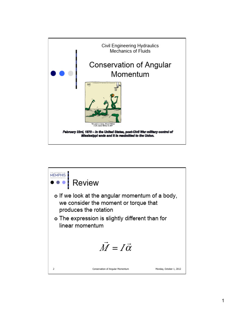 Conservation of Angular Momentum | PDF | Torque | Rotation Around A Fixed Axis