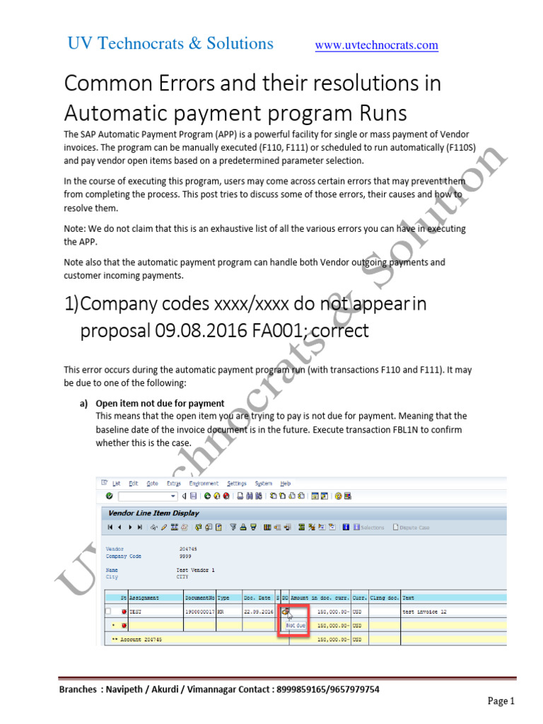 Common Errors and Their Resolutions in Automatic Payment Program Runs | PDF | Payments | Invoice