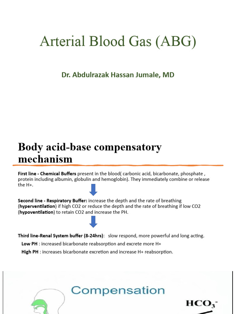 ABG Interpretation FINAL | PDF | Respiratory System | Clinical Medicine